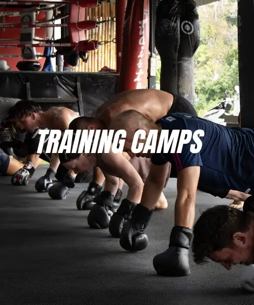 Training Camps - BXB Fight Lab